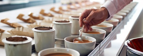 Tea Factories in Kericho, Bomet Counties Earn Kes15.85 Billion ...
