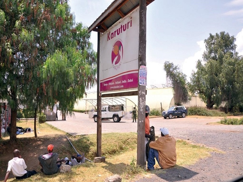 Court of Appeal okays sale of Karuturi assets – Financial Fortune Media