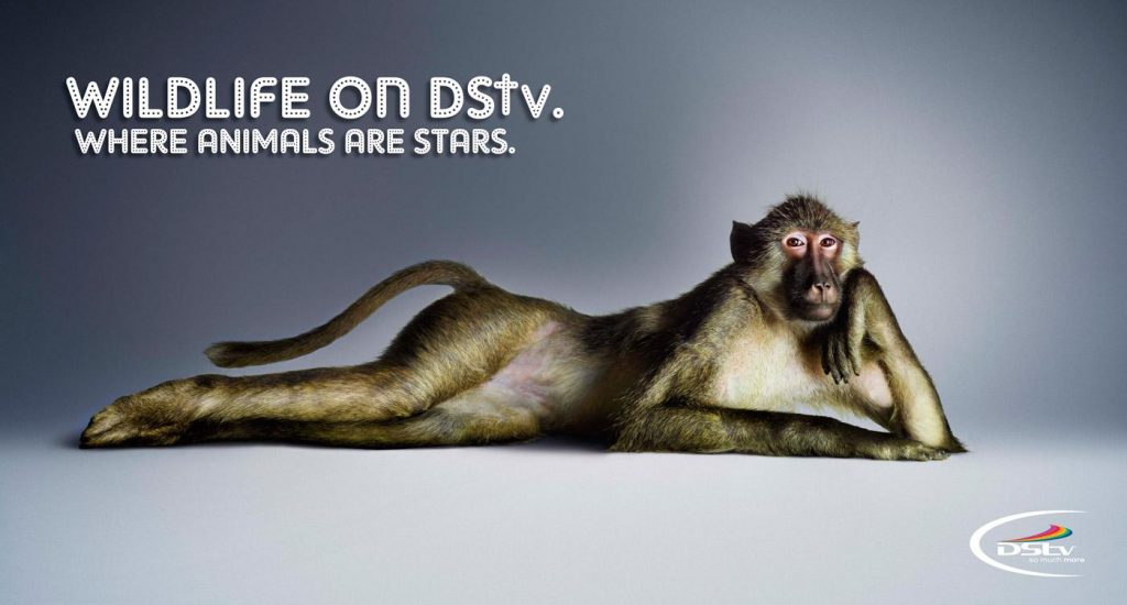 DStv woo customers in new campaign – Financial Fortune Media