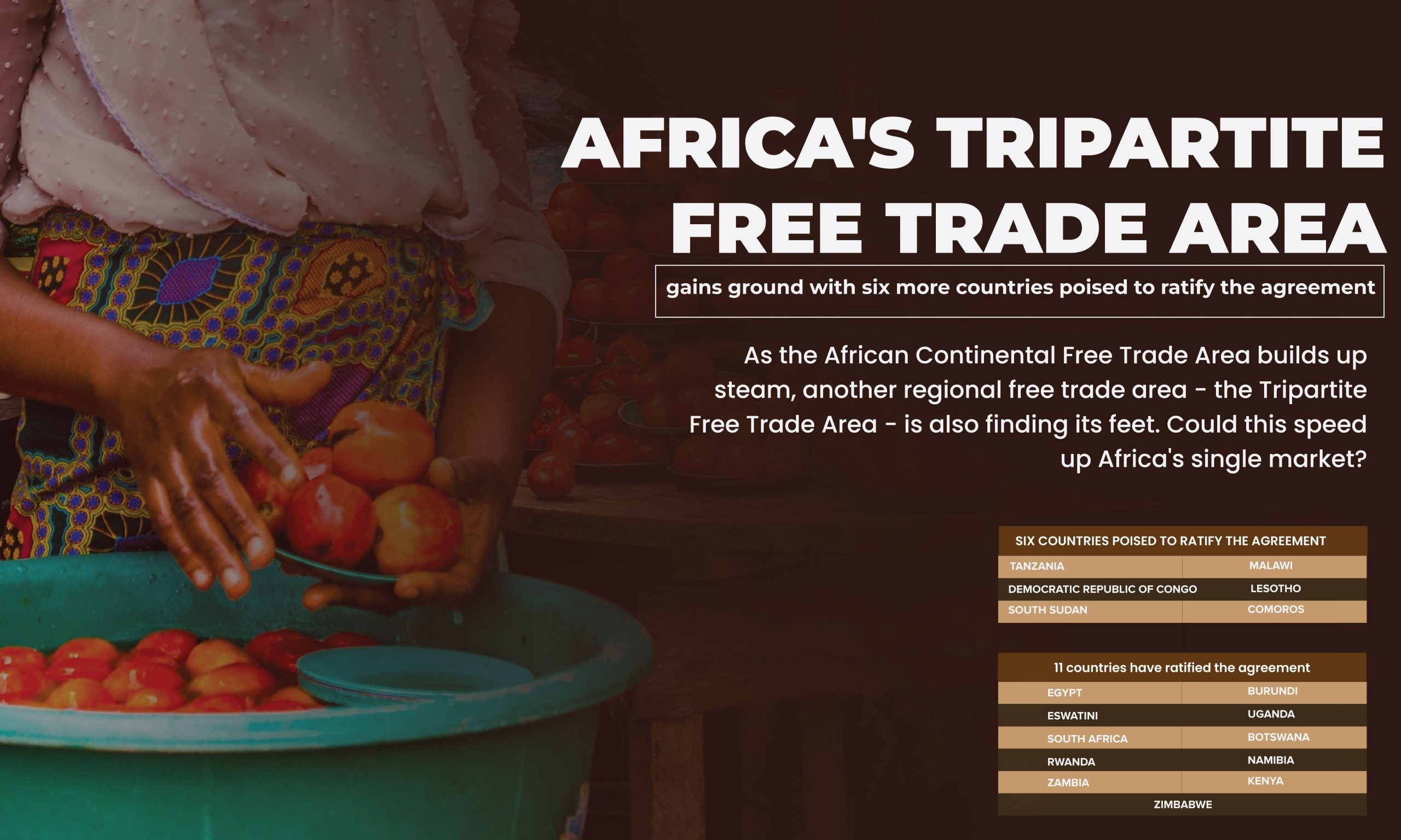 Africa's Tripartite Free Trade Area gains ground with six more ...