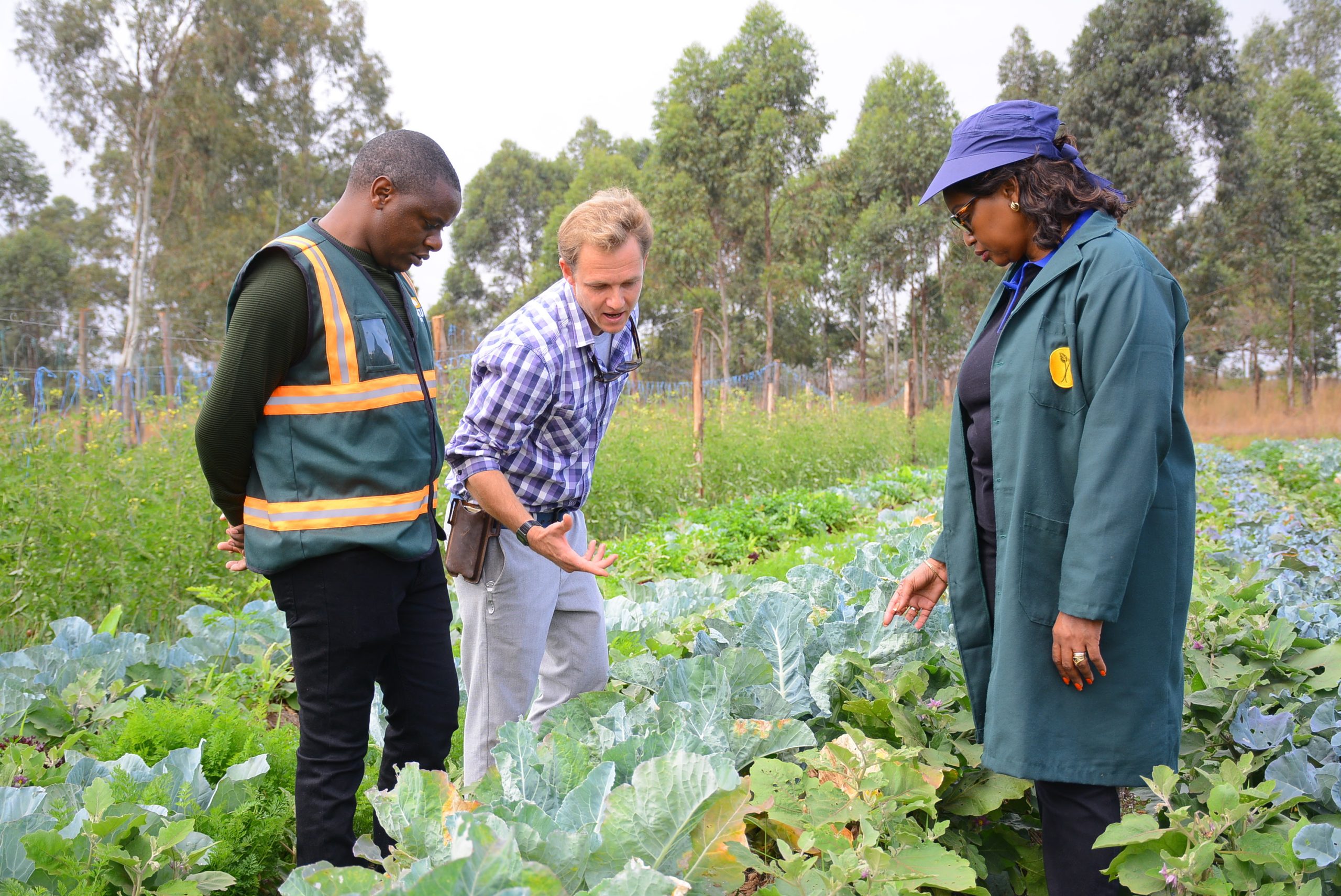 Tatu City sets up urban agroforestry farm in Kenya | Business News Africa