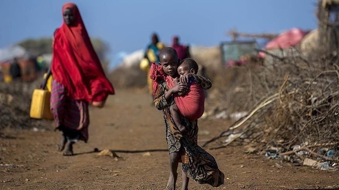 Poverty thrives where corruption is high – Financial Fortune Media