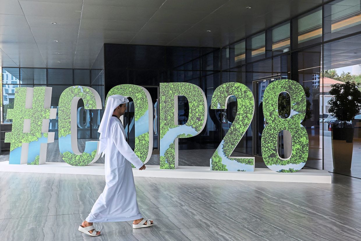 Cop 28 Dubai Summit 2023: African CSOs Biodiversity Alliance calls for ...