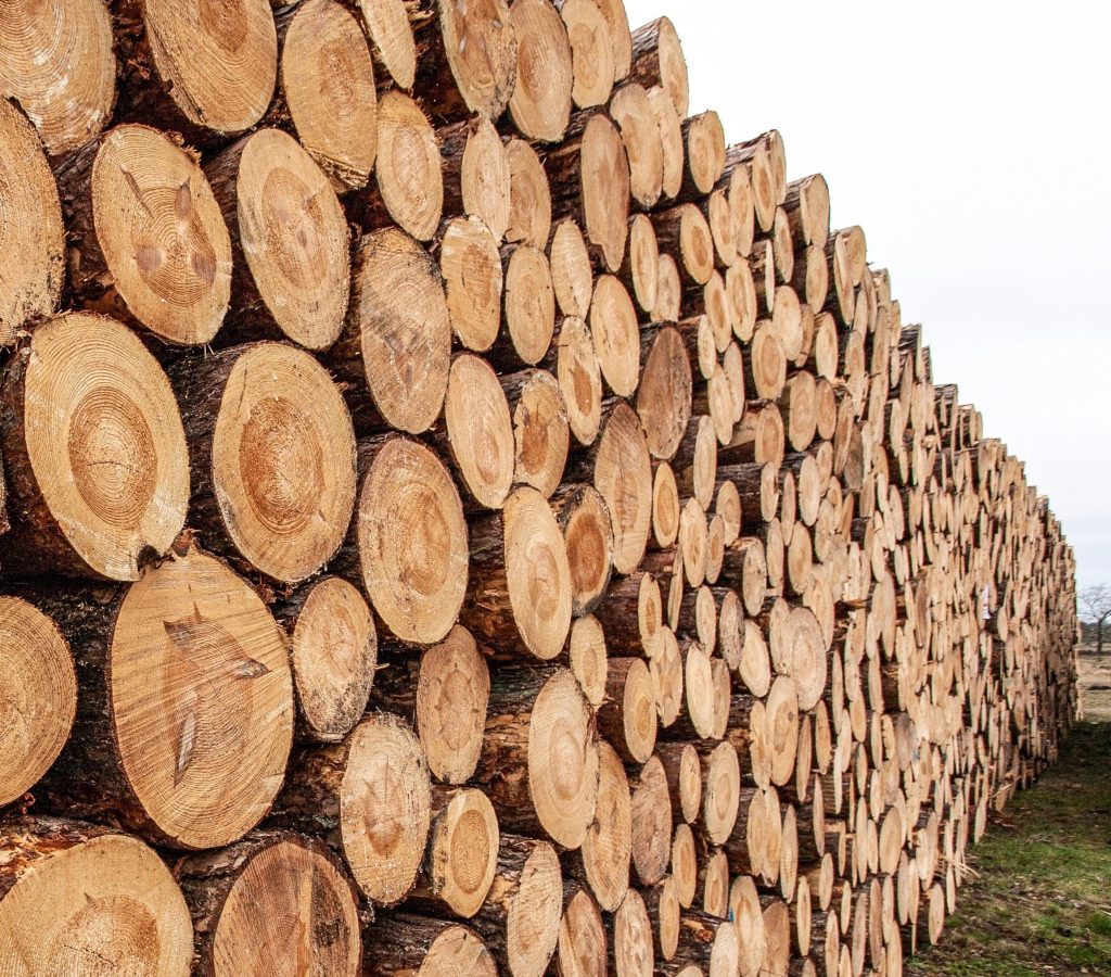 Investors bank on African timber for sustainable building boom ...