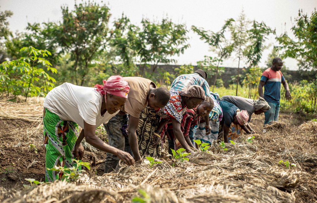 Goma’s resilient farmers – Financial Fortune Media