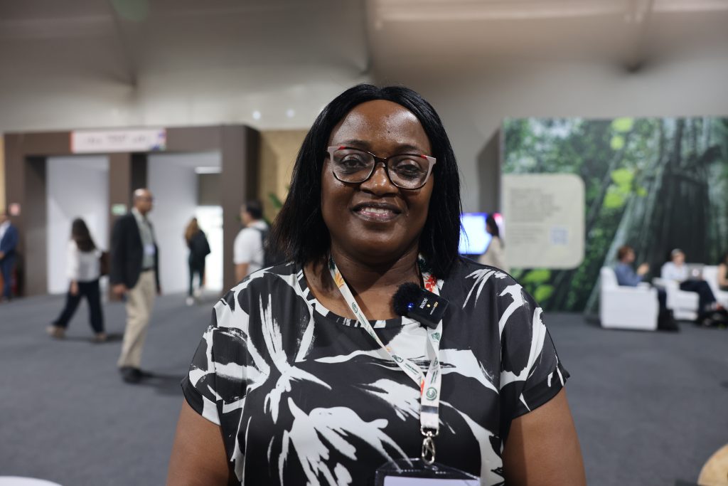 Meet the woman driving Namibia towards 70% green electrification by ...